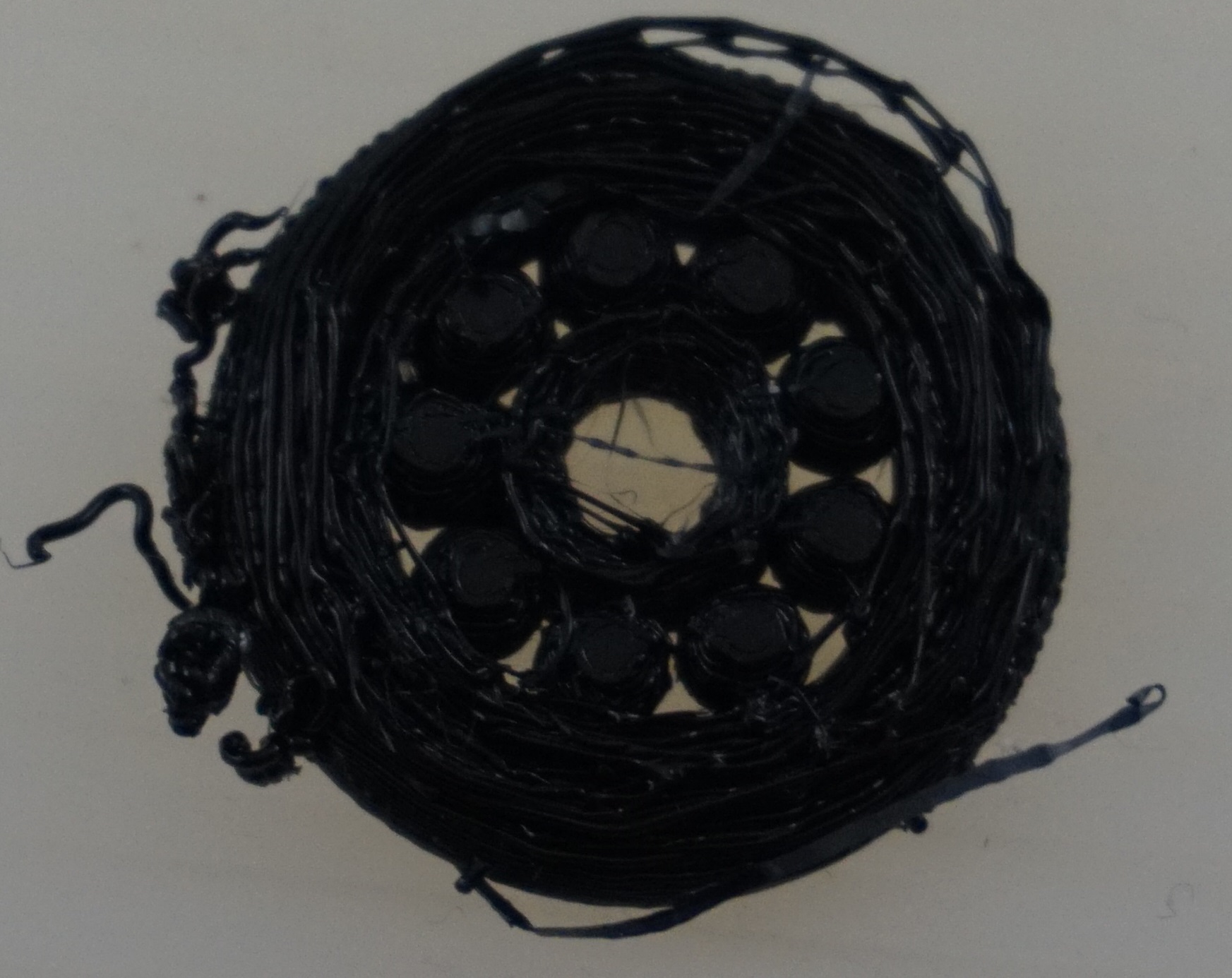 Nesting Phase | lomin.org